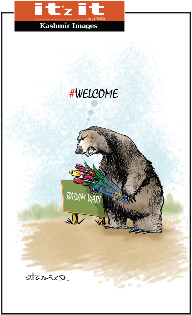 Cartoon | Kashmir Images Newspaper