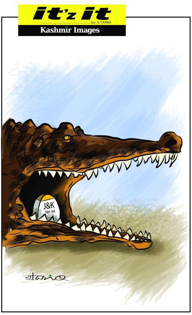 Cartoon | Kashmir Images Newspaper