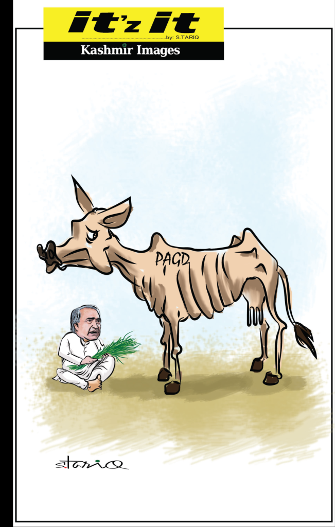 Cartoon | Kashmir Images Newspaper